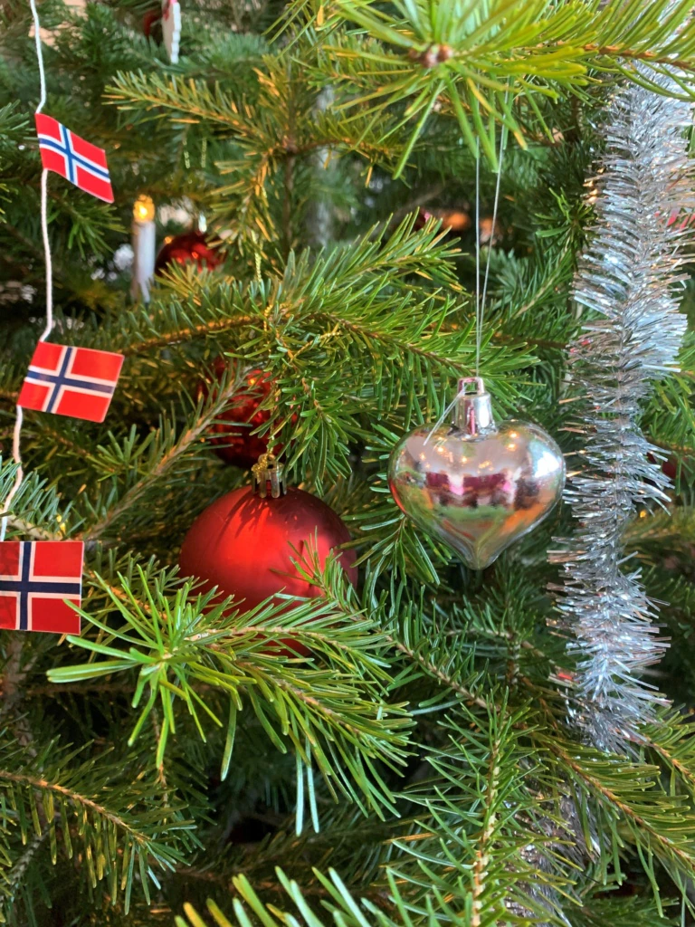 Ringsaker Almenning - Ringsaker almenning